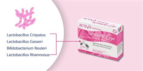 The Synergistic Approach To Immunity And Gut Health The Power Of Pre And