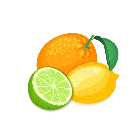 Ripe Orange Vertical Seamless Border Vector Illustration Card With