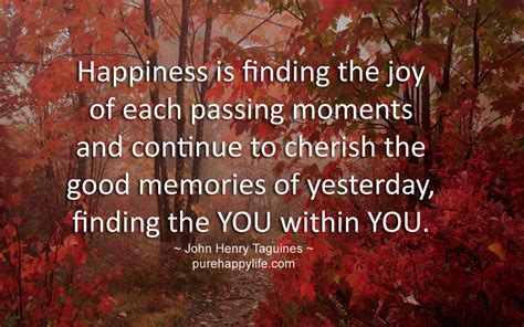 Quotes On Happiness And Joy Quotesgram