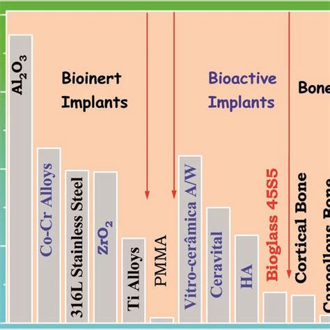 The Elasticity Modulus Of Prosthetic Materials In Comparison To Bone5