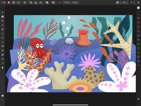 Ipad Affinity Publisher