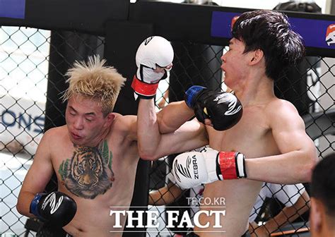프로 Mma 선수가 되기 위한 첫걸음 비스트챔피언쉽 아마리그 04 Tf사진관 포토 기사 더팩트