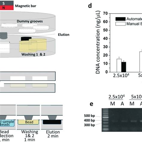On Chip DNA Extraction A Chip Schematic B Side View Of The Chip Download Scientific