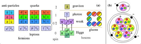 The Standard Model Of Particle Physics Involves Half Integer Spin