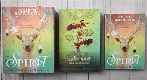 Spirit Animal Oracle Review Captivating Guidance Deck