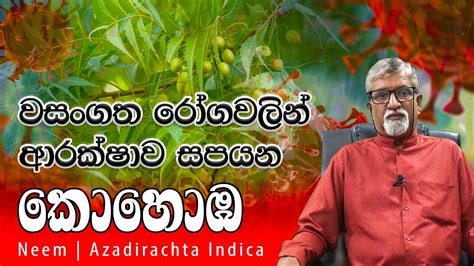 Hela Wedakam Rahas Ashoka Kumara Karunarathna Kohomba Hela Osu