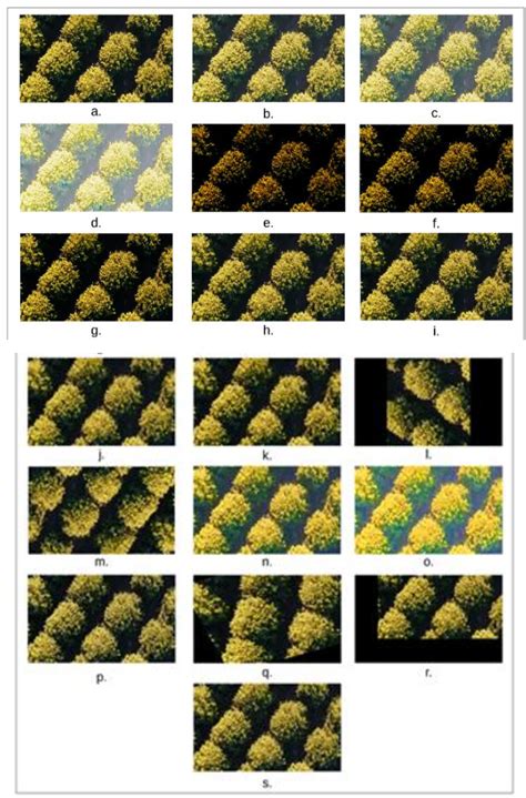 Figure 3 From Detection And Counting Of Fruit Trees From Rgb Uav Images