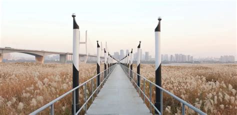 Spring Boot Admin 集成诊断利器 Arthas 实践arthas Spring Boot Starter Csdn博客