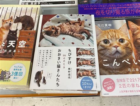 鬼瓦レッド On Twitter 椹野道流先生の猫写真集が花江夏樹さんの「こんぺいとみそ」の隣（笑）ゴイスー 紀伊國屋書店鹿児島店様
