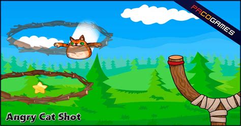 Angry Cat Shot Games44