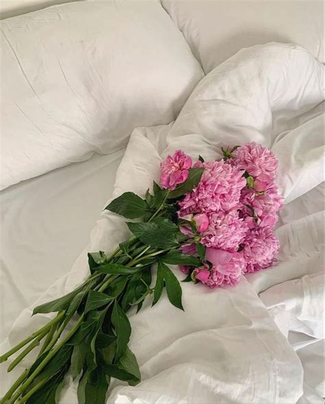 Pin by lola bunny on harmony | Pretty flowers, Flower aesthetic ...