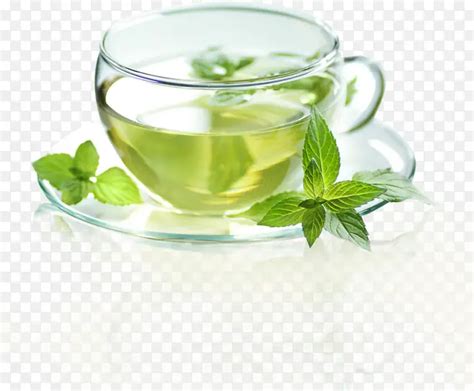 薄荷绿茶玻璃杯素材PNG图片素材下载 图片编号yxjnvdzz 免抠素材网