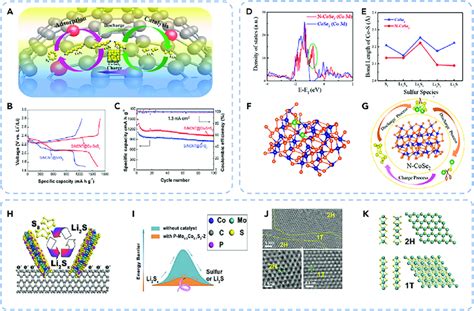 TMDs With Heteroatom Doped TMDs In Sulfur Chemistry A Schematic Of Download Scientific
