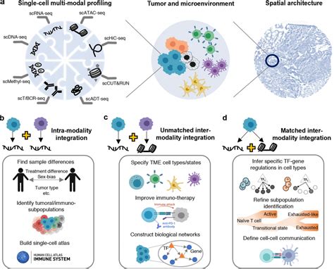 BMBL Bioinformatics And Mathematical Biosciences Lab