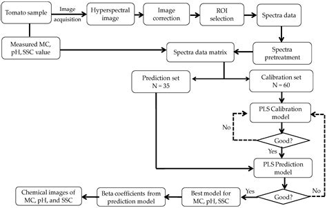 Applied Sciences Free Full Text Nondestructive Estimation Of