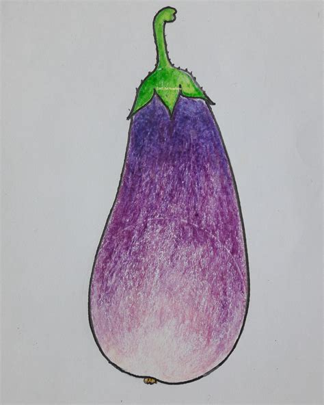 Sms How To Draw Brinjal Easy Begun Drawing Brinjal Drawing Easy Brinjal Drawing বেগুন