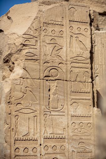 Karnak 사원의 벽과 기둥에 다른 상형 문자 카르낙 사원은 고대 이집트에서 가장 큰 단지입니다 건축에 대한 스톡 사진 및