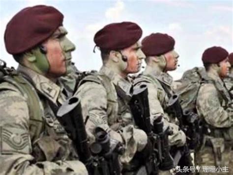 兩個排特種兵出擊，被敵人用地道戰全滅，特種兵的優勢哪去了？ 每日頭條