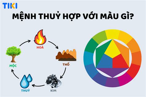 Nam Mệnh Thổ Hợp Màu Gì Tìm Hiểu Màu Sắc May Mắn Theo Phong Thủy
