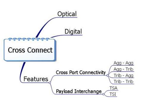 16 Cross Connect Types Download Scientific Diagram