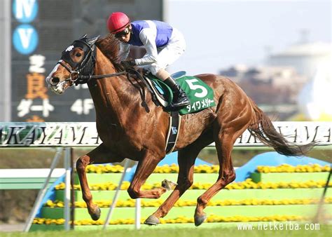 ダイワメジャー Daiwa Majorの産駒一覧 競走馬データ Netkeiba