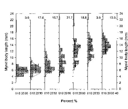 Frequency Distributions Of Mysid Lengths In Mysis Mixta Populations At