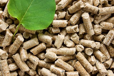 Wood Pellet And Biomass Wood Fuel Suppliers Uk Amp Clean Energy