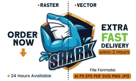 do manual vector tracing your design in 1 hour by shameenshaikh fiverr