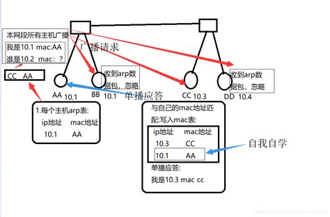 面试题 Arp协议的工作过程arp协议主要流程 Csdn博客