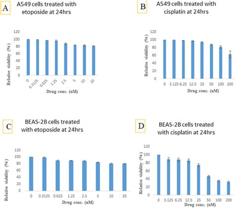 24 Hour Incubation Of A549 And Beas 2b Cells Treated With Etoposide And