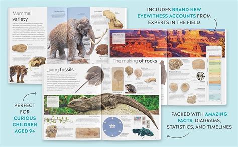 Eyewitness Fossil Taylor Paul David 9780744092073 Books Amazon Ca