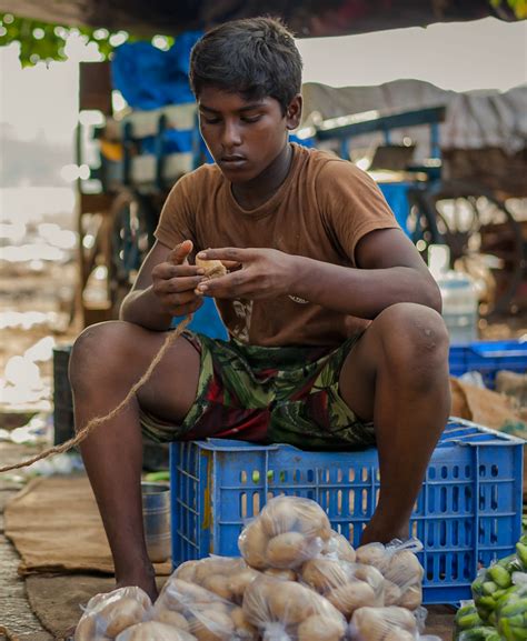 Indian Bro Sitting On Blue Box Rhumanporn