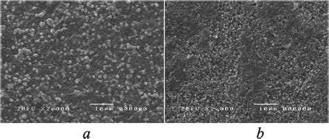 Sem Micrographs Of The Surface Of A Copper Layer Deposited From A