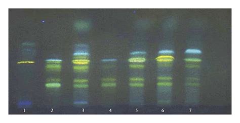 Separation Of Plant Extracts With Hptlc A And Ppec B Techniques