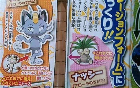 Pokemon Sun And Moons Alola Meowth Looks Like He Doesnt Mess Around
