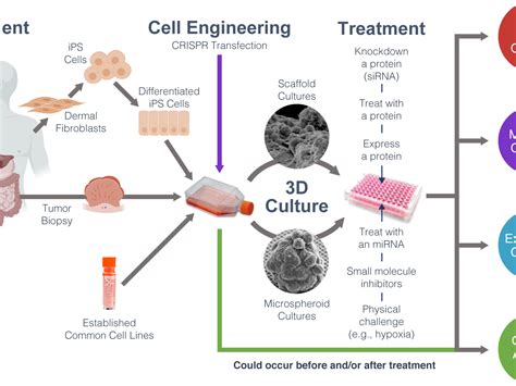 Global 3d Cell Culture Market Segment European Business Review