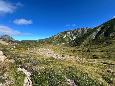 Solving The Climbing Stairs Problem On Leetcode By Berdyelliot Medium