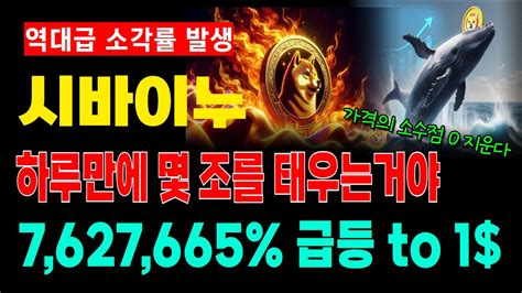시바이누 코인 매달 몇 조개의 시바견 소각 시바이누 1달러까지 단 몇개월 21년 그 때 그 고래들이 돌아왔다