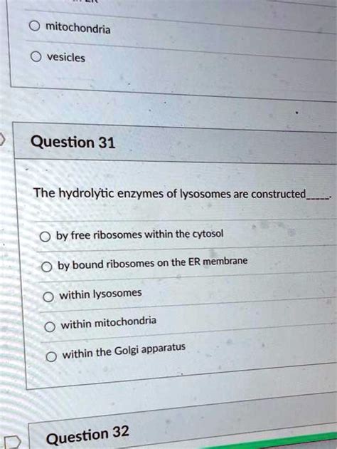 Solved Mitochondria Vesicles Question 31 The Hydrolytic Enzymes Of