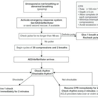 Basic Life Support Algorithm For Health Care Professionals EAD Download Scientific Diagram