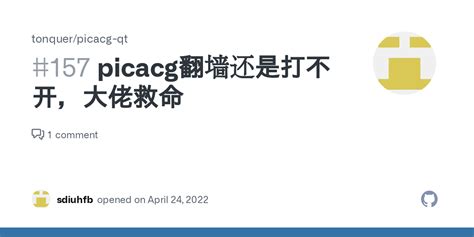 Picacg翻墙还是打不开，大佬救命 · Issue 157 · Tonquerpicacg Qt · Github