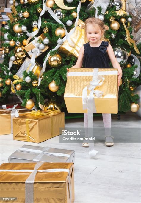 복싱 날에 장식 된 크리스마스 트리 옆에 서있는 큰 포장 된 선물을 들고있는 어린 소녀 가정 생활에 대한 스톡 사진 및 기타 이미지 가정 생활 공휴일 금색 Istock