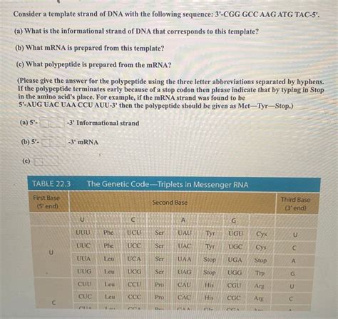 Answered Consider A Template Strand Of Dna With Bartleby