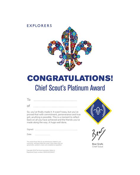 Scouts Trophies And Awards