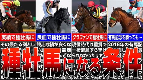 【競馬】種牡馬になる条件とは？馬でも血統さえ良ければ。。。前代未聞のプロジェクトによって救われる命。 Youtube