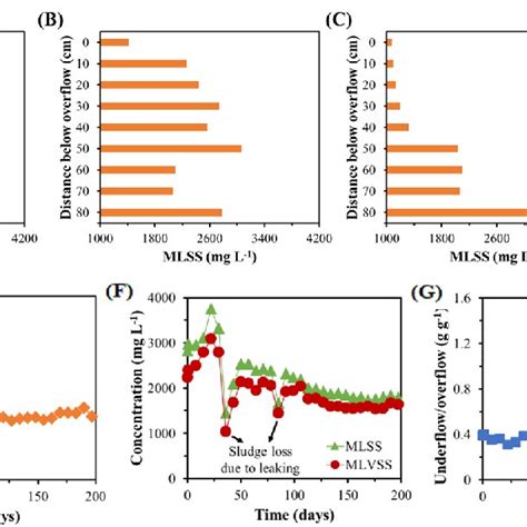 Mlss Concentration Distribution Measured At Different Distances Below