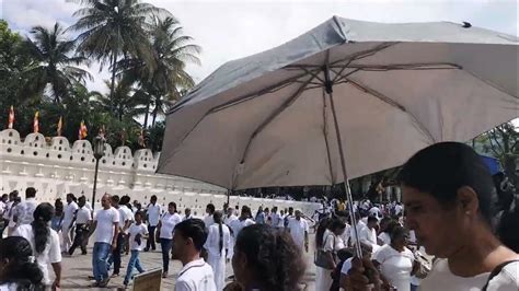 පොහොය දින ශ්‍රී දළදා මාලිගාවට පැමිණි සංඛ්‍යාත ජනකායෙන් සුළු පිරිසක් Youtube