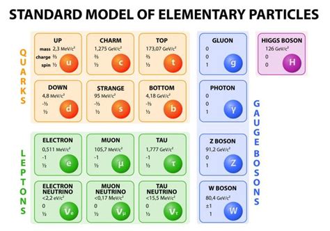 Gear Up For A Paradigm Shift In Physics Elementary Particle Weighs