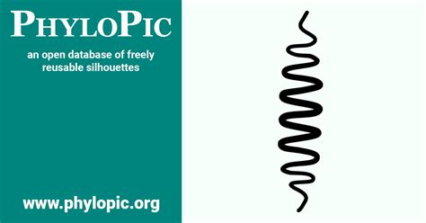 Limnospira Maxima Cc0 10 Phylopic