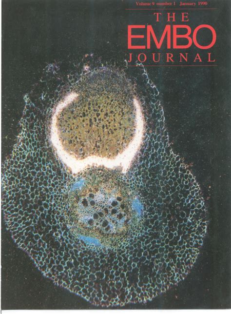 The Cecropin Locus In Drosophila A Compact Gene Cluster Involved In